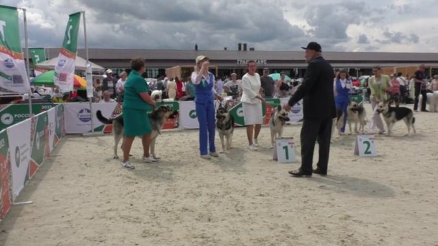 Питомник Русская Легенда