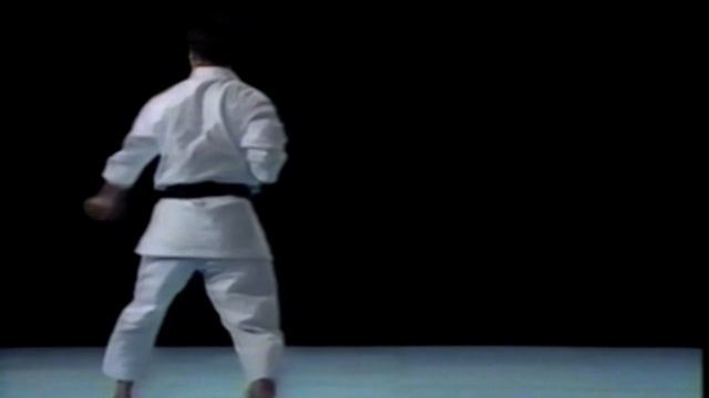 Хейан Нидан Вид спереди