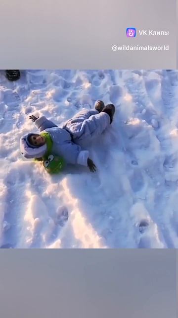 Обезьянки 😂