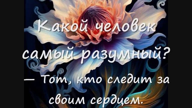 САМОЕ-САМОЕ - ответы - Симеон Афонский