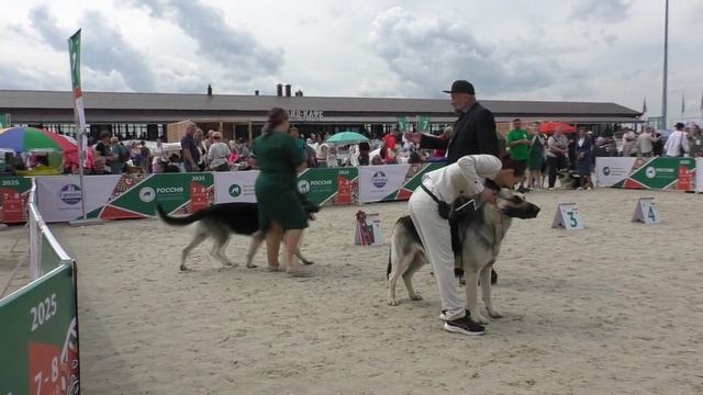 Сравнение КЧНКП