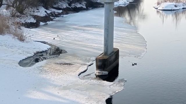 🌊Мартовские акварели🌊Река Осётр🌊Утки на Осетре🌊