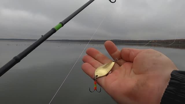 Щучки Подмосковного озера. Рыбалка на спиннинг