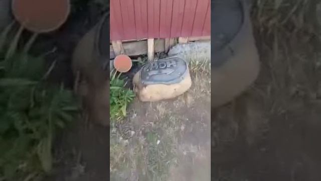 скульптуры на  даче из арт бетона мастер Макс город Ростов.