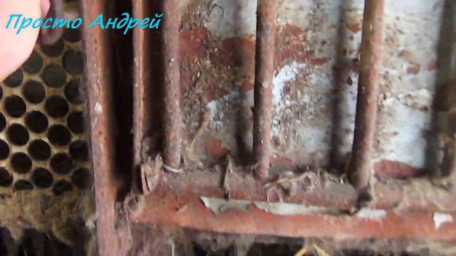 НУТРИЯ ПОТЕРЯ КОРМА ИЛИ ГРЯЗЬ ВЫБОР СПОРЫ