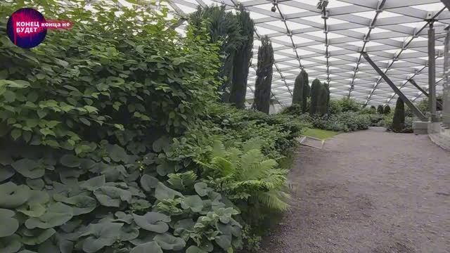 Москва. Смотрите что в парке Зарядье...я обошёл всё...