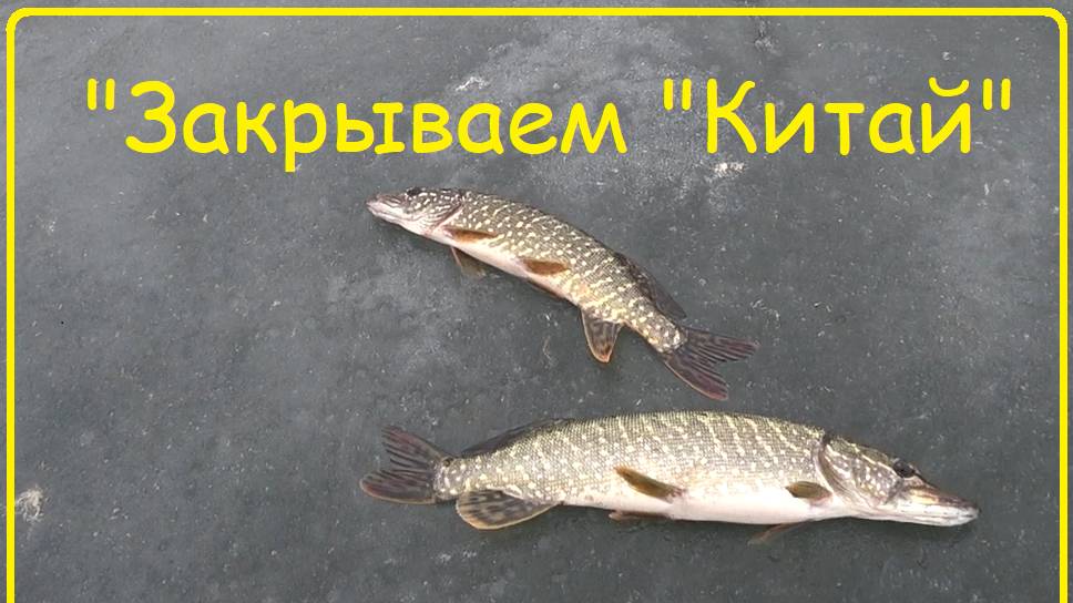 "Закрываем "Китай". Последний ролик от "Рыбное место 36".