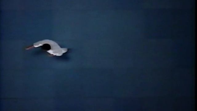 Хейан Сандан Вид сверху