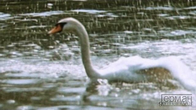 Иванушка - Kol-O-Bok (старый хит по новому)