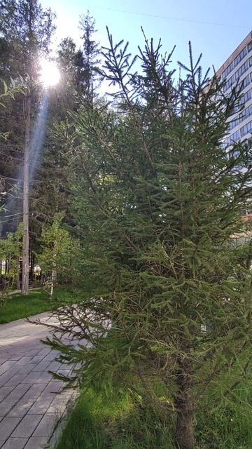 В. Степанов "Родные просторы"