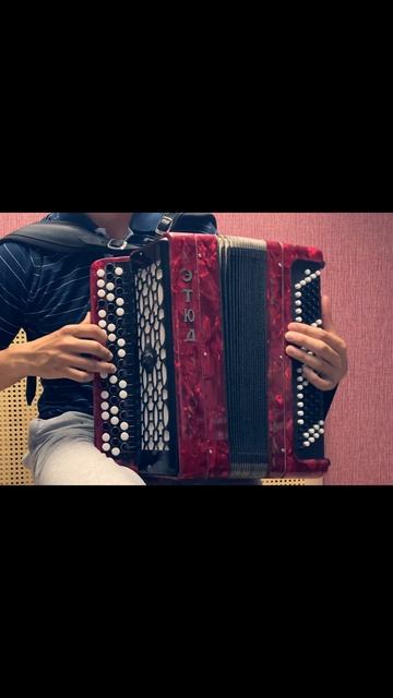 Don't be SO SHY - on bayan