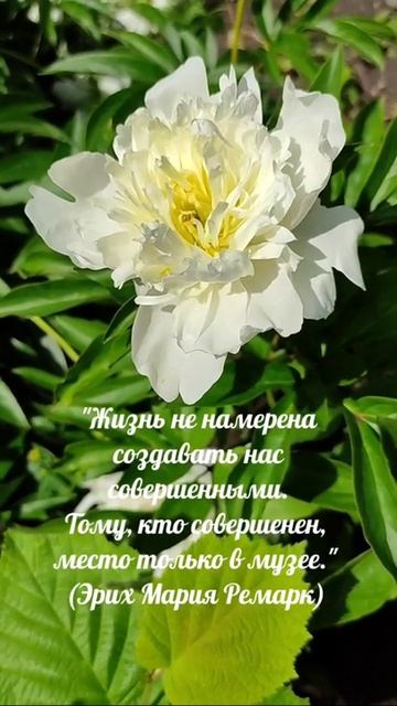 Мы не совершенны