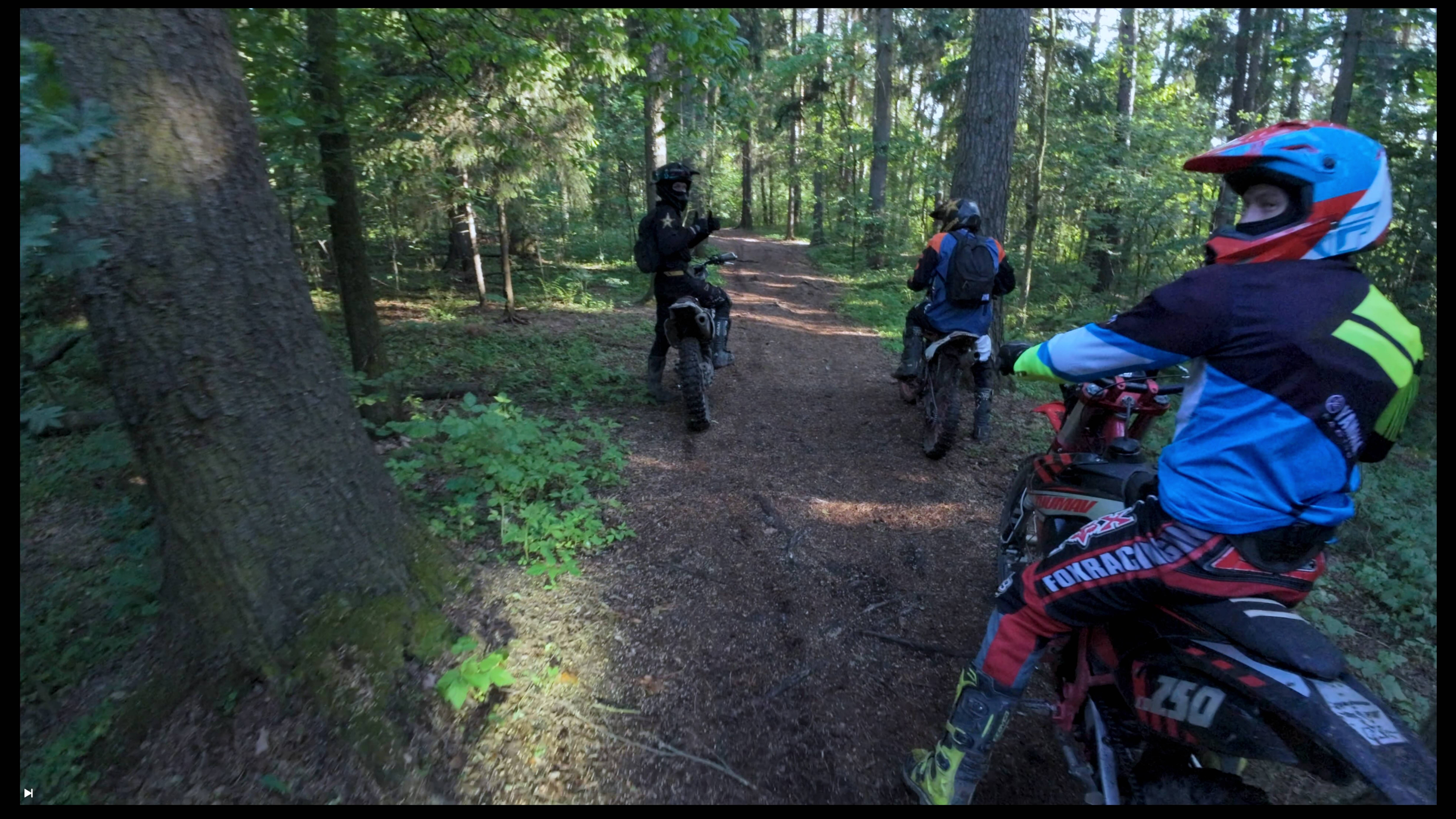 Обогнал эндуристов, встретил лося, показал подъемы на Лисьей горе