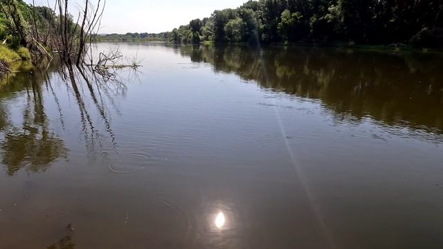 Спортивная рыбалка. Спиннинг.🎣