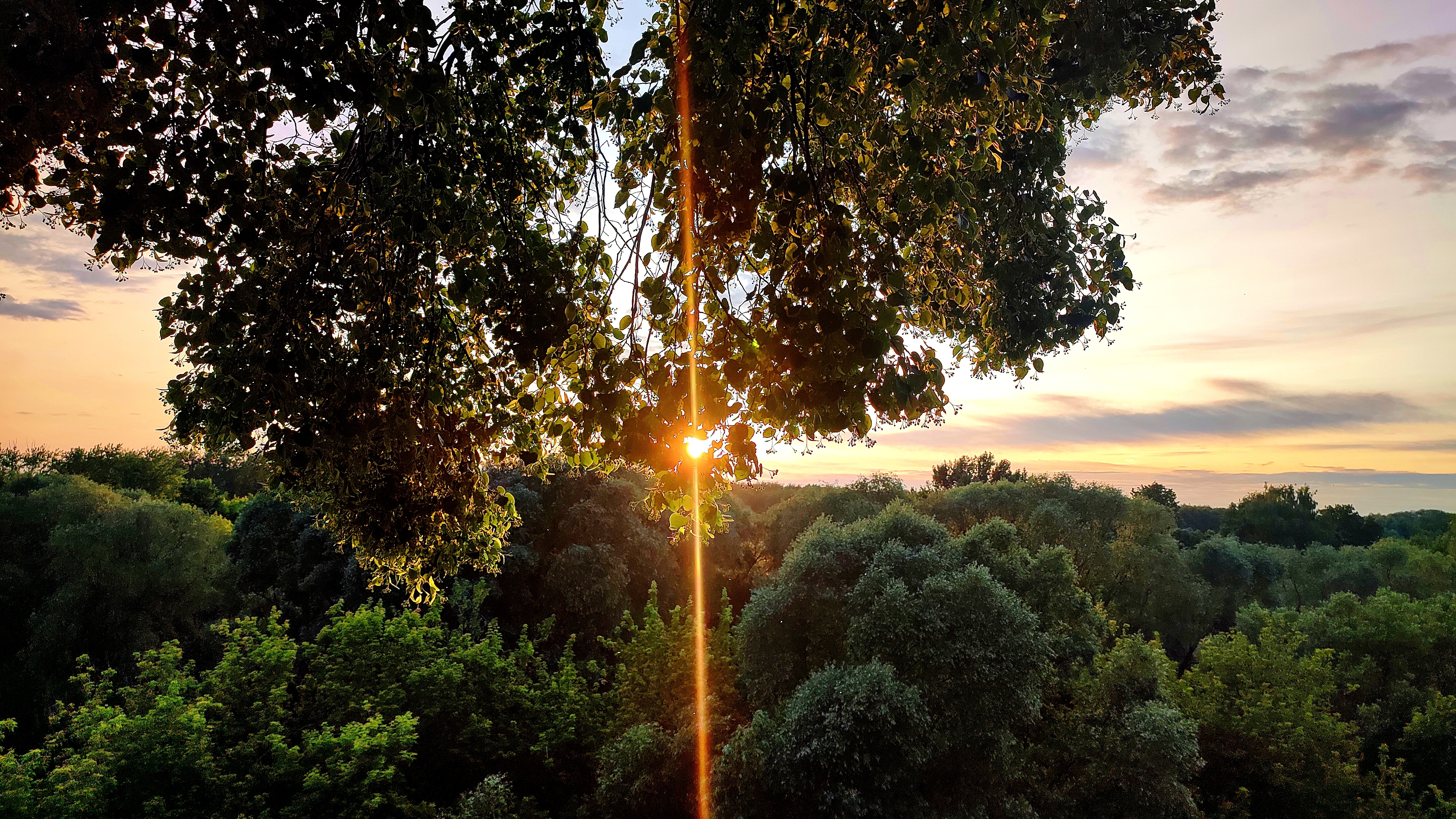 Закатное солнце в Рязанском Кремле
