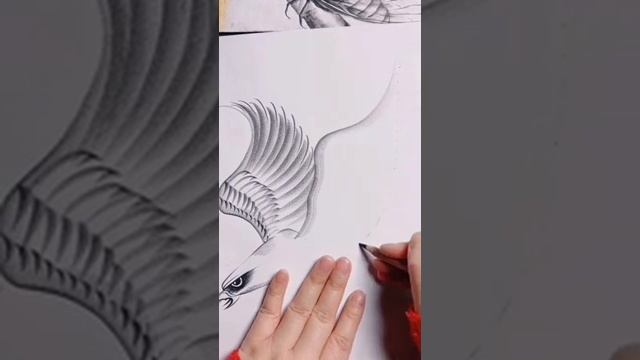 Как нарисовать хищную птицу карандашом