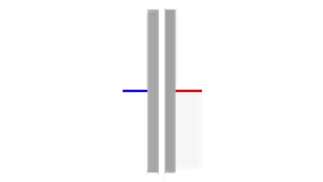 Конденсатор - это. Отличное видео, благодарим его создателя! не меня)