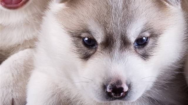 играю в майнкрафт    1-часть