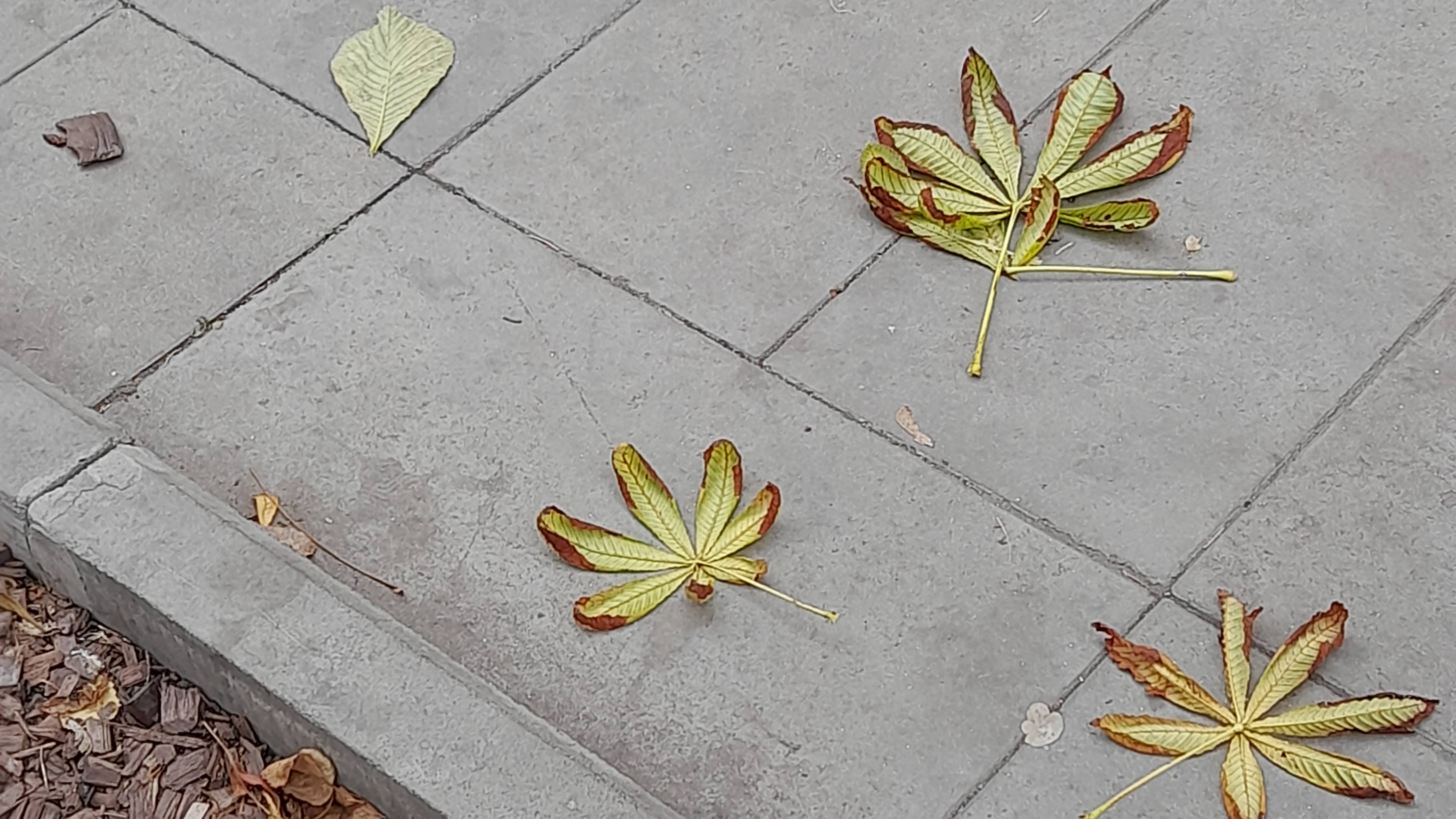 20250611_123750_001 Пою в пути. Мне нравится,  что вы больны не мной