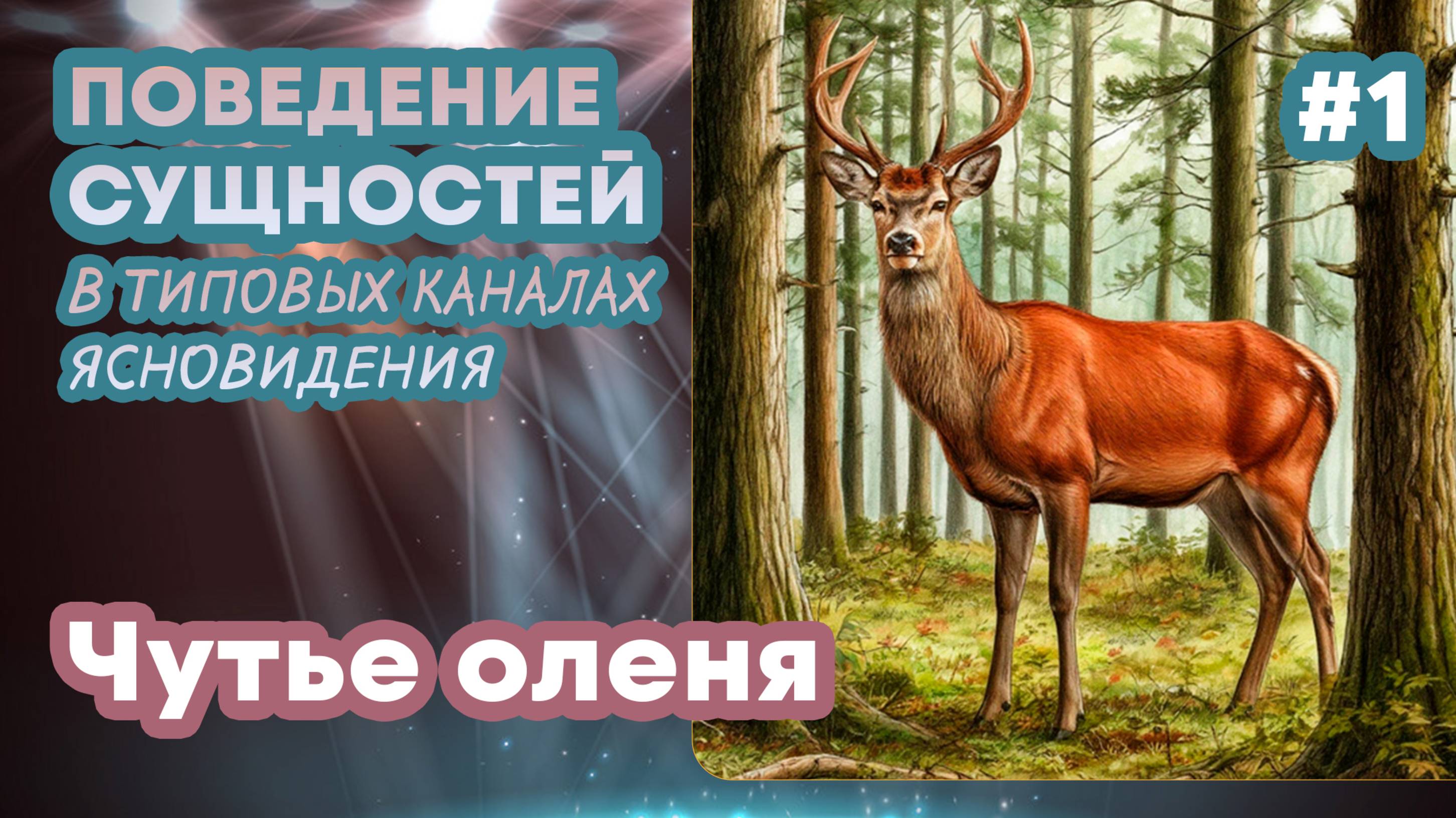 Чутье оленя - Выпуск 1 | Поведение сущностей в типовых каналах ясновидения