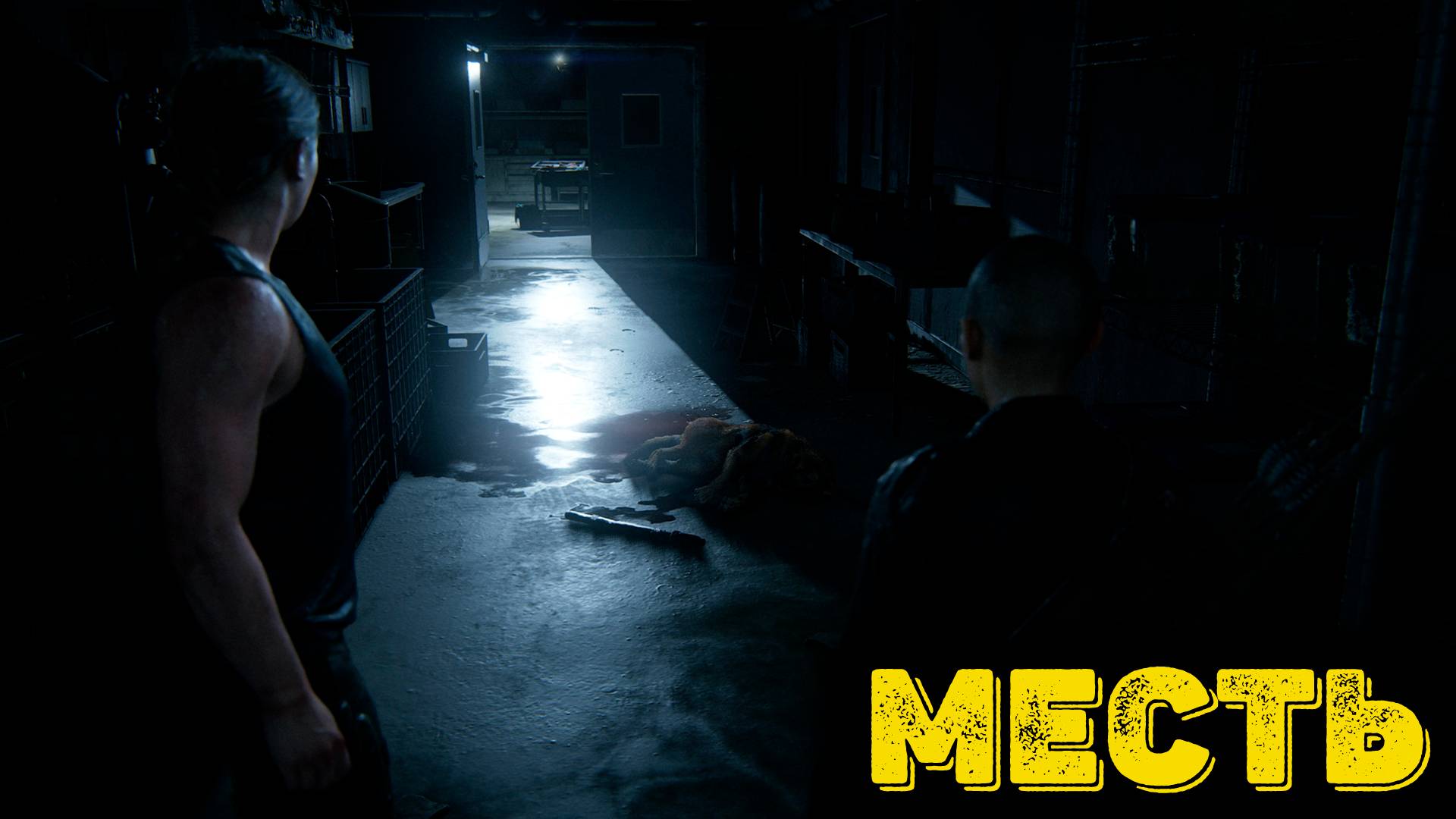 The Last Of Us Part II Часть 18 - Месть