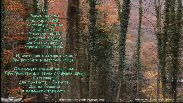 Боюсь, уже мы наломали дров читает Иван БУКЧИН Онлайн-студия «Дом звука»