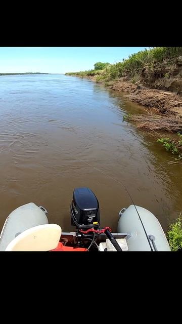 Поклёвка на 100500 Телеграм https://t.me/ispin1