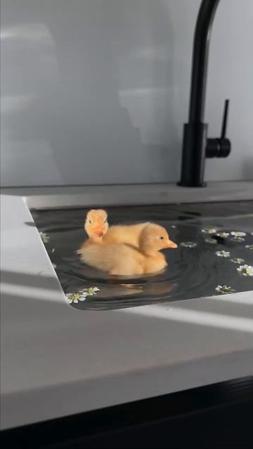 Релаксация