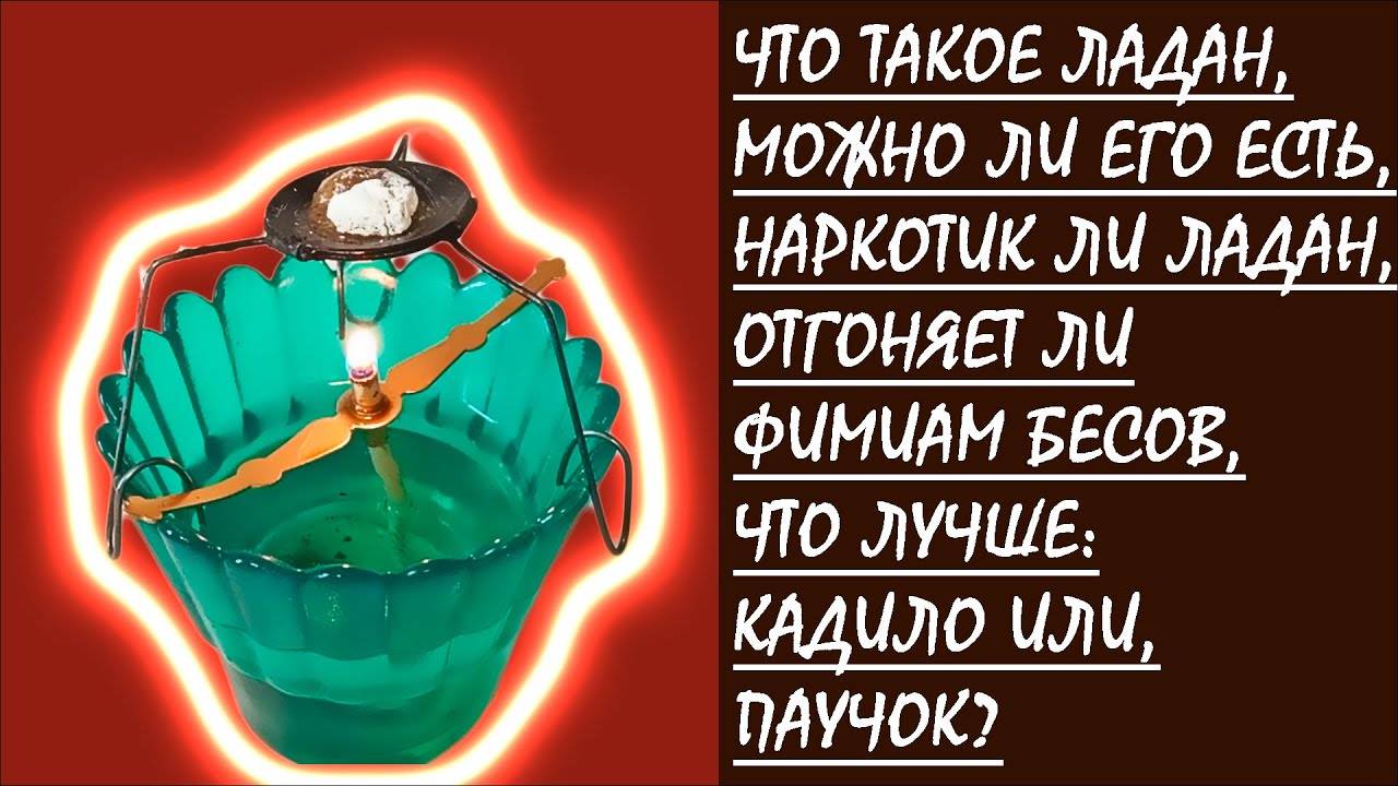 ЛАДАН: НАЗВАНИЕ СВОЙСТВА И КАЖДЕНИЕ