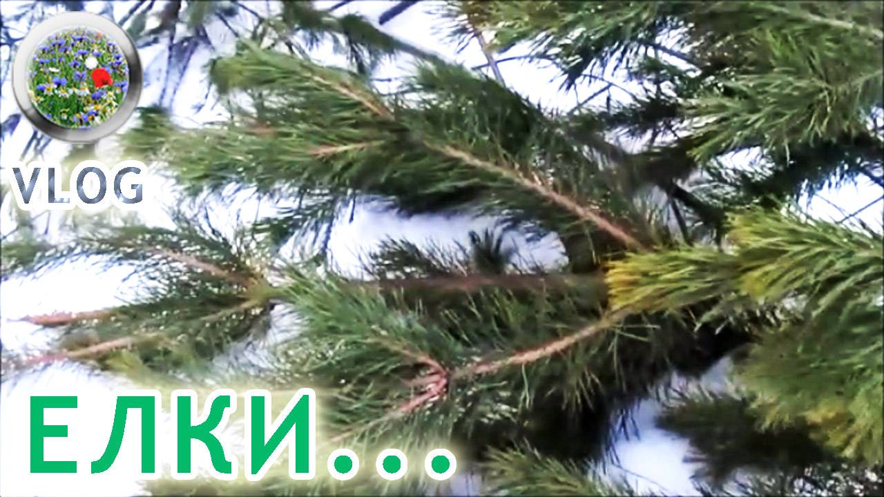 Грустный посленовогодний влог