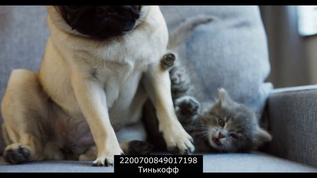 Новое профессиАнальное хабальское агентство