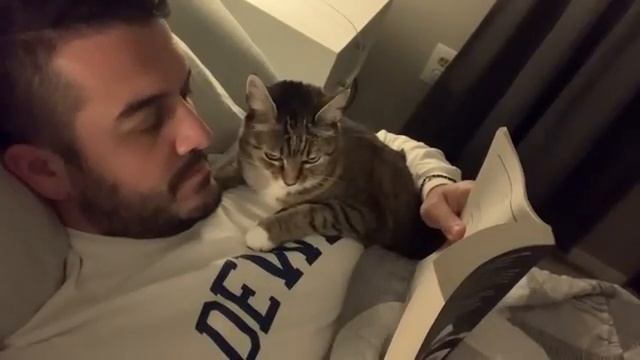 Кот делает ЭТО каждый раз, когда хозяин начинает читать новую книгу (2025 год) (uu)