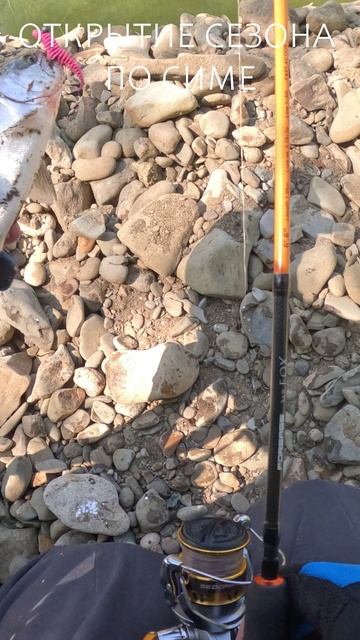 🐟 НАКОНЕЦ открылся по СИМЕ!🐟 Сезон 2025 открыт! Рыбалка Сахалин  #Сахалин #рыбалка #сима #лосось