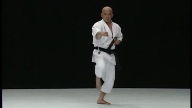 Рюэй-рю Нисейси Вид сбоку