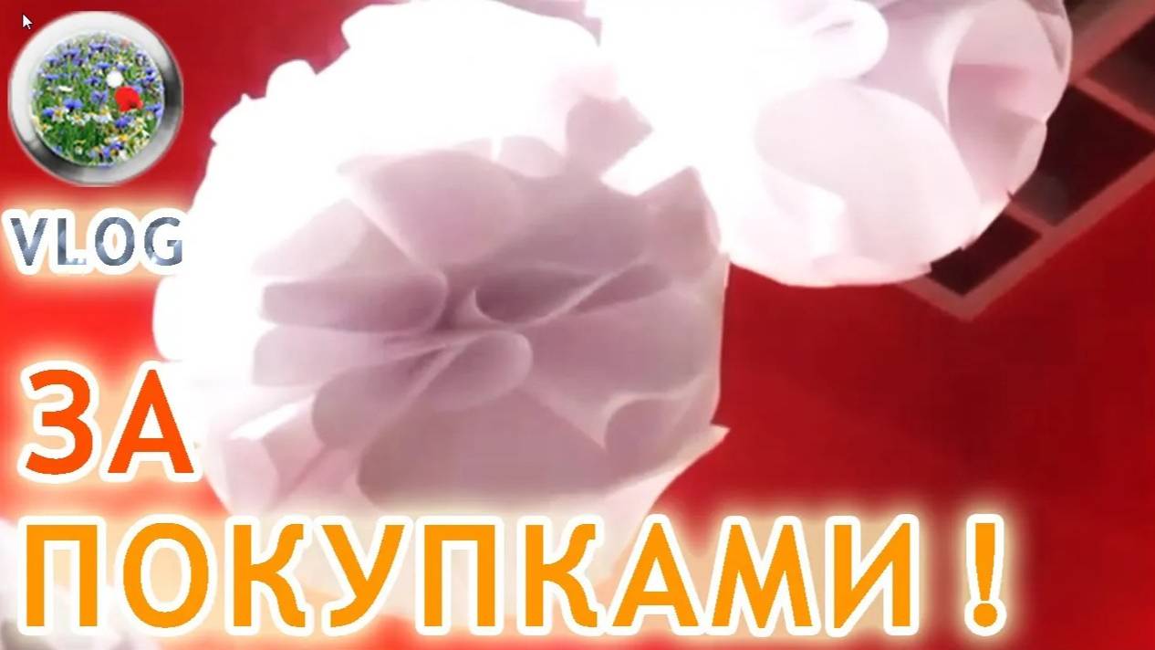 VLOG Новогодний