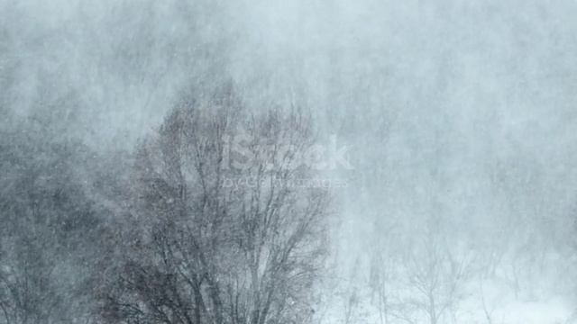 Вальс (Весна на двоих, автор Павлова Ольга, стихи,муз(суно),монт, ВАЛЬСЫ ОЧЕНЬ ЛЮБЛЮ ПОЧТИ КАК ТАНГО