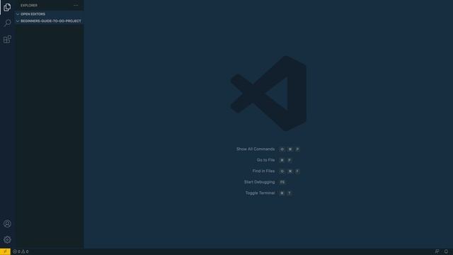 24 - Go Beginners Guide Project Overview