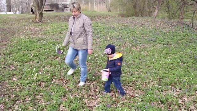 Аня собирает подснежники.