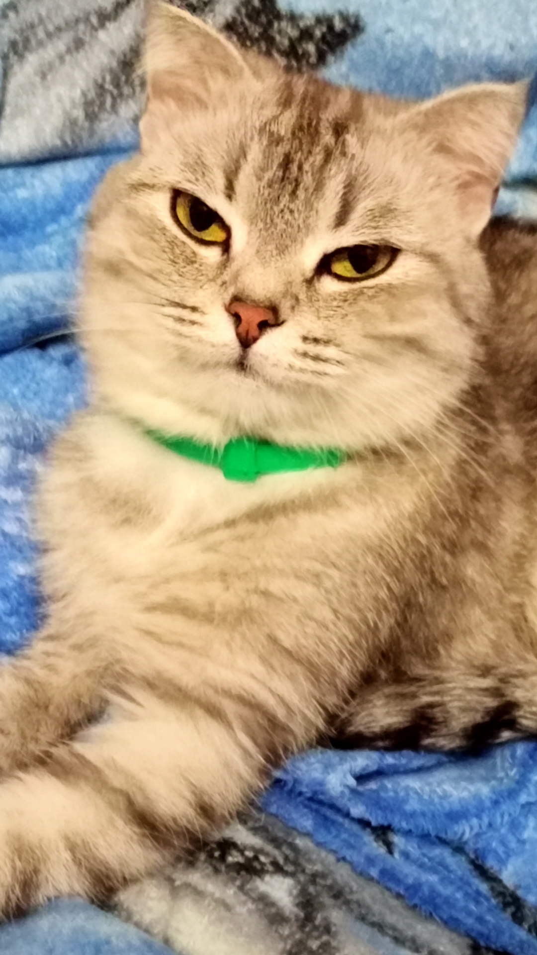 😻Наши хулиганки😻