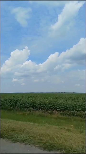 Воронежская область