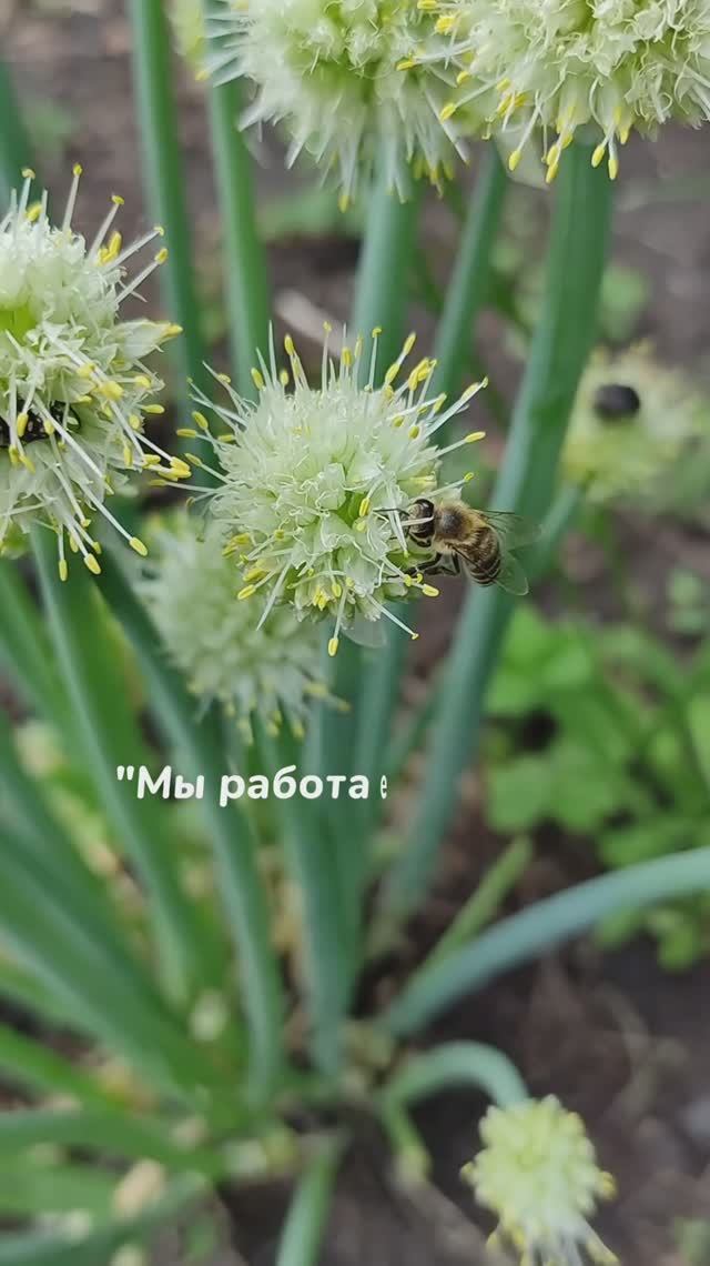 Зачем мы работаем?