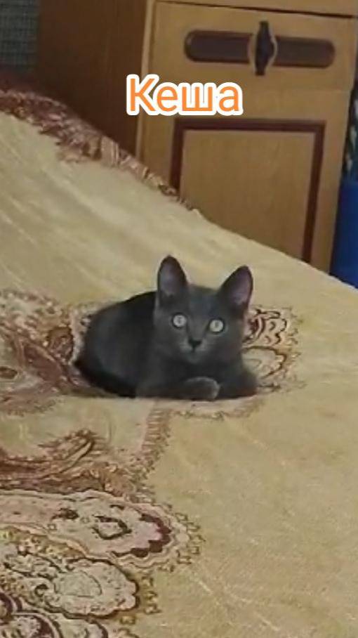 Цени себя! #мудрыевыражения