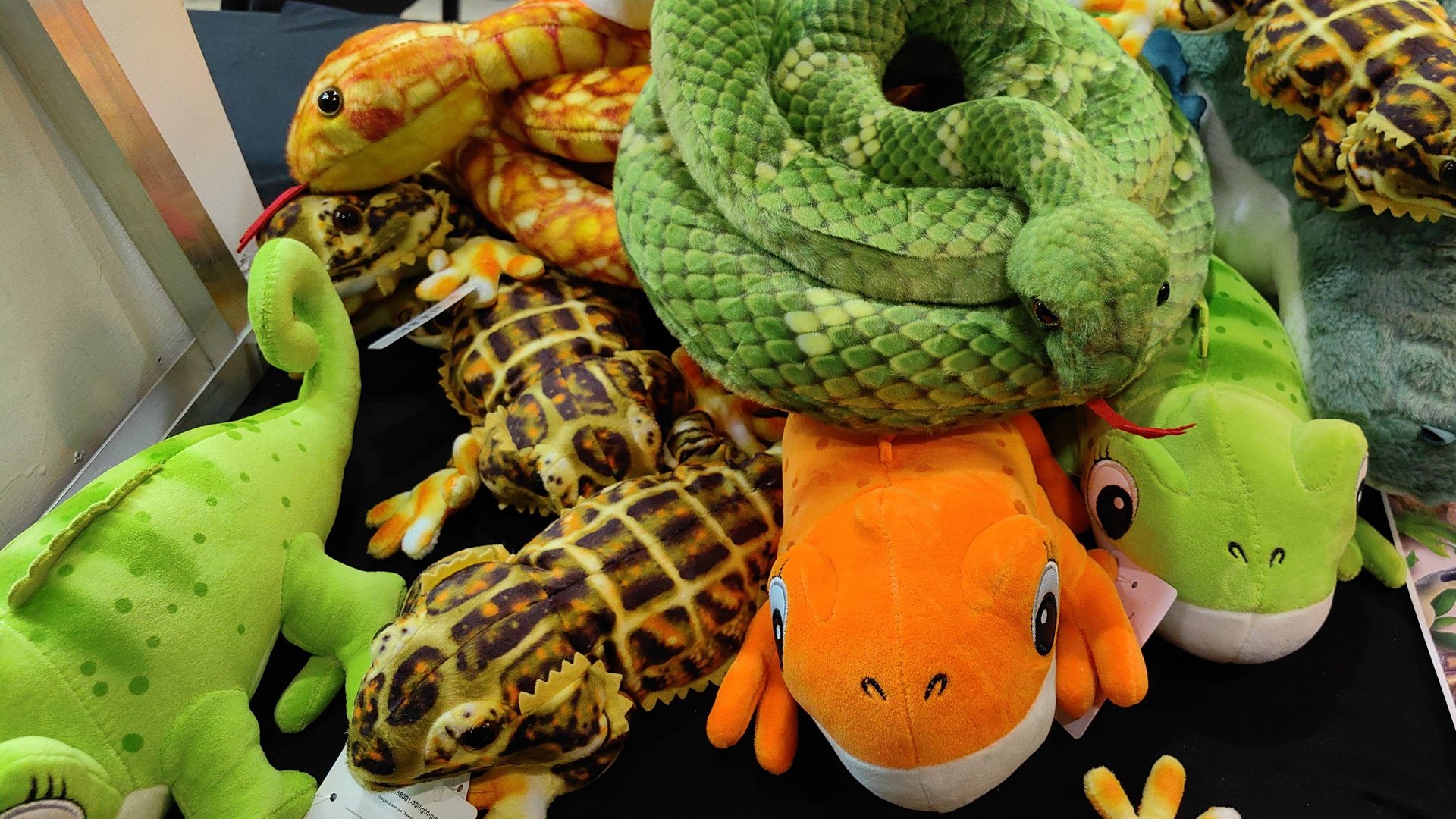 Как я посетил выставку террариумных животных Рептилиум (REPTILIUM) 2025