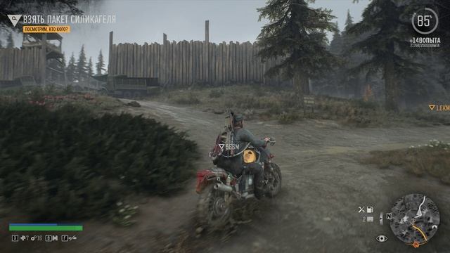 Days Gone Орда из Груз-Гарденз (Выживание 2)