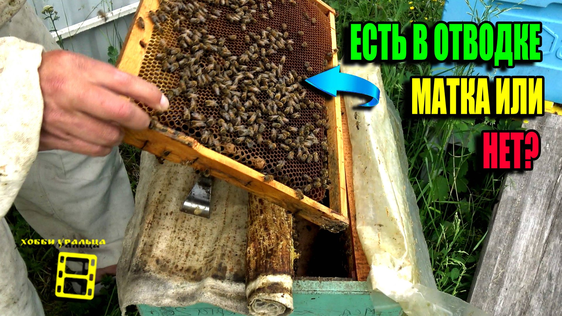 РЕЗУЛЬТАТЫ ОБЛЕТА МАТОК. КАК ПОНЯТЬ БЕЗ ЗАСЕВА, ЧТО МАТКА НА МЕСТЕ ИЛИ НЕТ? ПЧЕЛОВОДСТВО 25-22