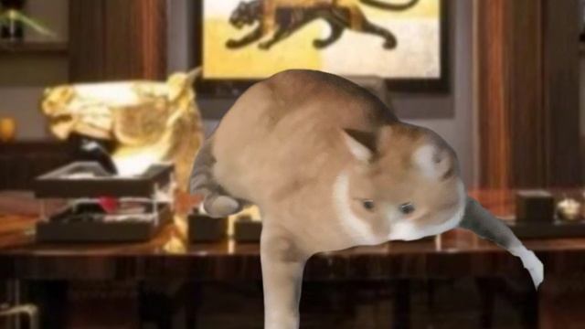 Песня кошачий босс