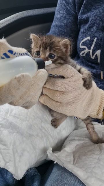 Пит-стоп на ЦКАДе