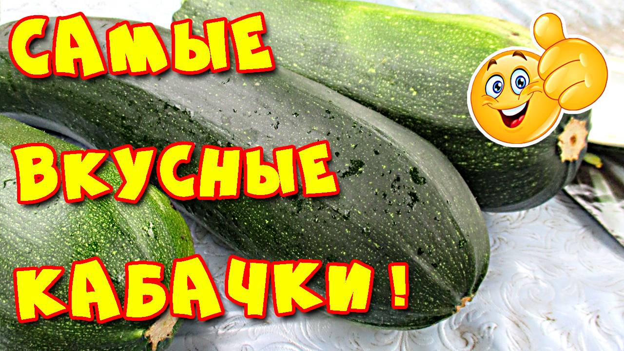 Кабачок цуккини "Черный красавец"