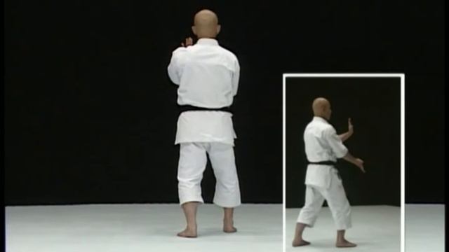 Рюэй-рю Нисейси Последовательность