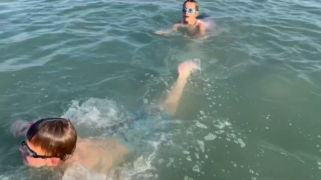 Веселые песенки с Family Fox. Акуленок, бэбишарк, baby shark.